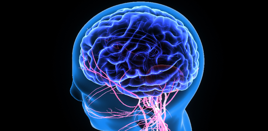 Blocking the brain lymphatic pathway reduces symptoms of MS