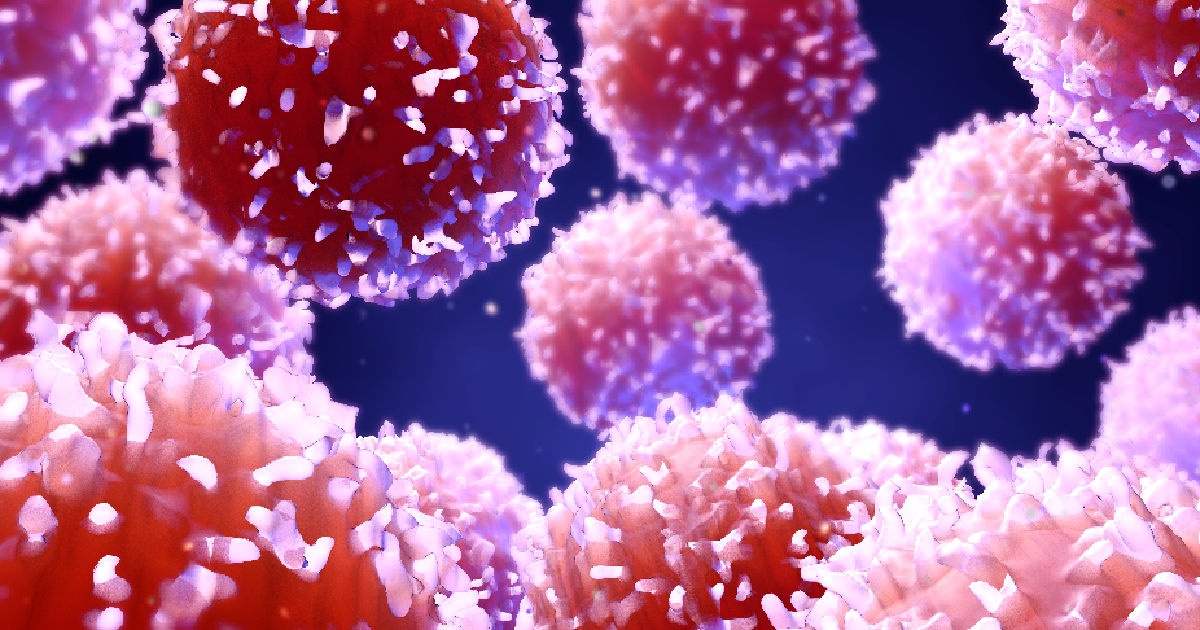 Interaction between immune cells may contribute to MS