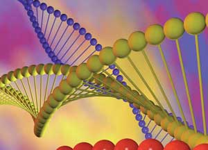 Genetics And MS | MS In Focus - MS International Federation