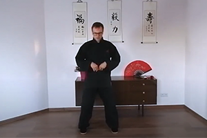 MS Tai chi (1) - MS International Federation